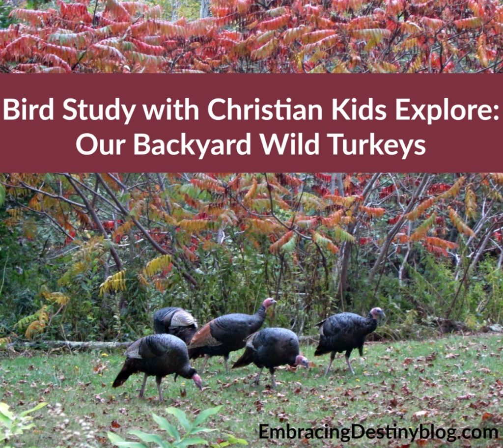 Hands-on Elementary Science with Christian Kids Explore Biology - Heart ...