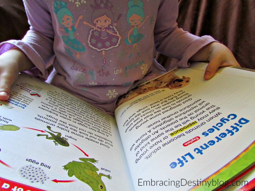 By Design: Faith-Based Elementary Science - Heart and Soul Homeschooling