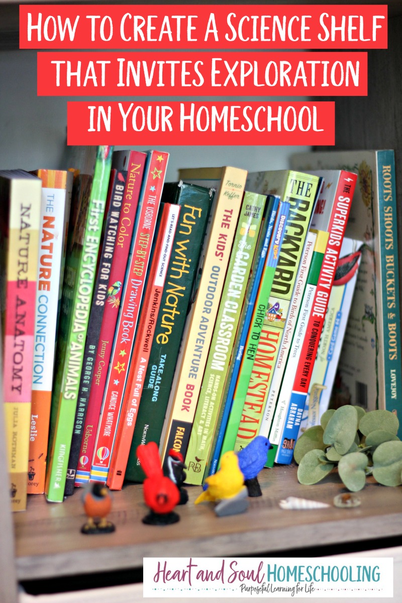 How to Create a Science Shelf that Invites Exploration - Heart and Soul ...