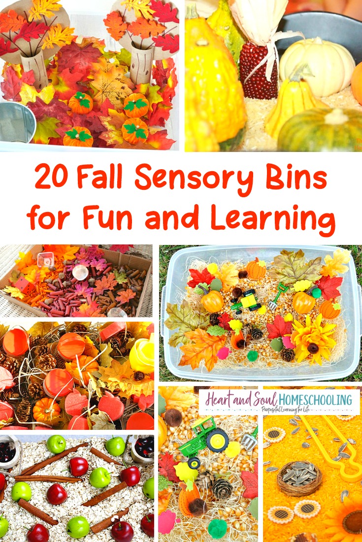 20 Fall Sensory Bins for Fun and Learning - Heart and Soul Homeschooling