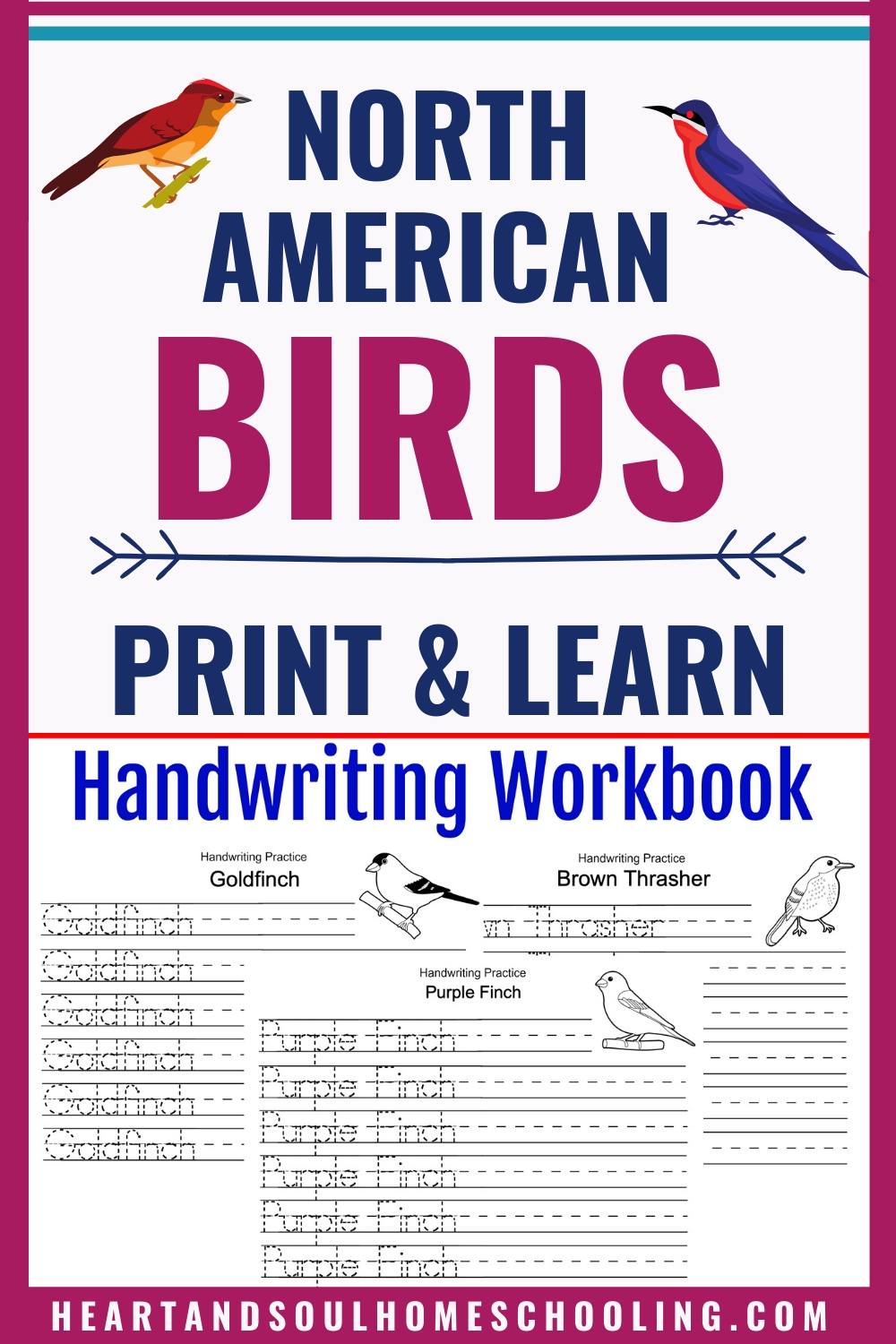 North American Birds Handwriting Practice Workbook - Heart and Soul ...