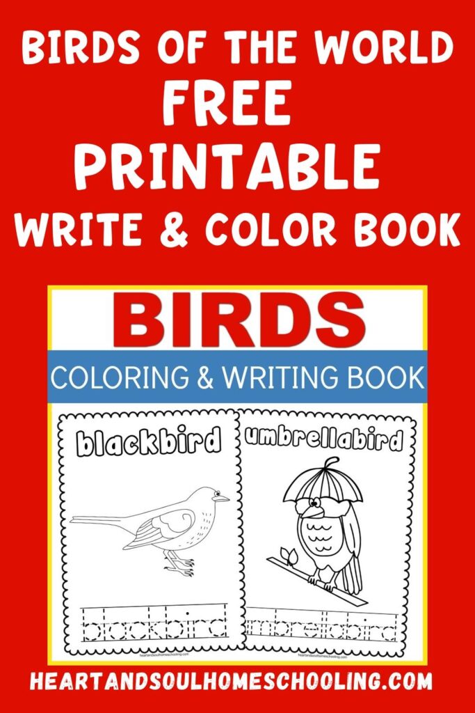 Birds Write and Color Printable Book - Heart and Soul Homeschooling