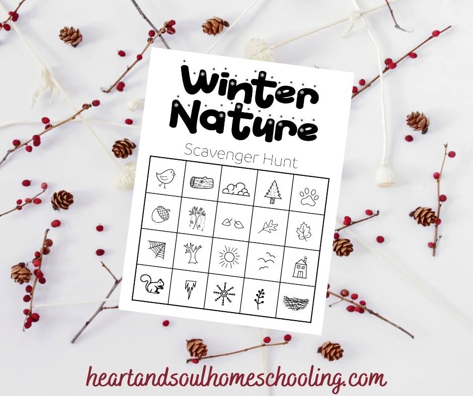 How to Study Nature in Winter - Heart and Soul Homeschooling