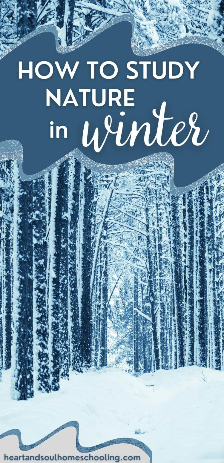Nature Study For Beginners Heart And Soul Homeschooling