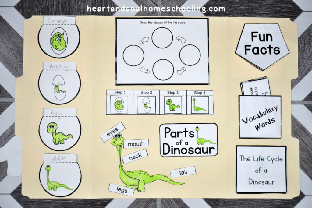 Dinosaur Lapbook - Heart and Soul Homeschooling