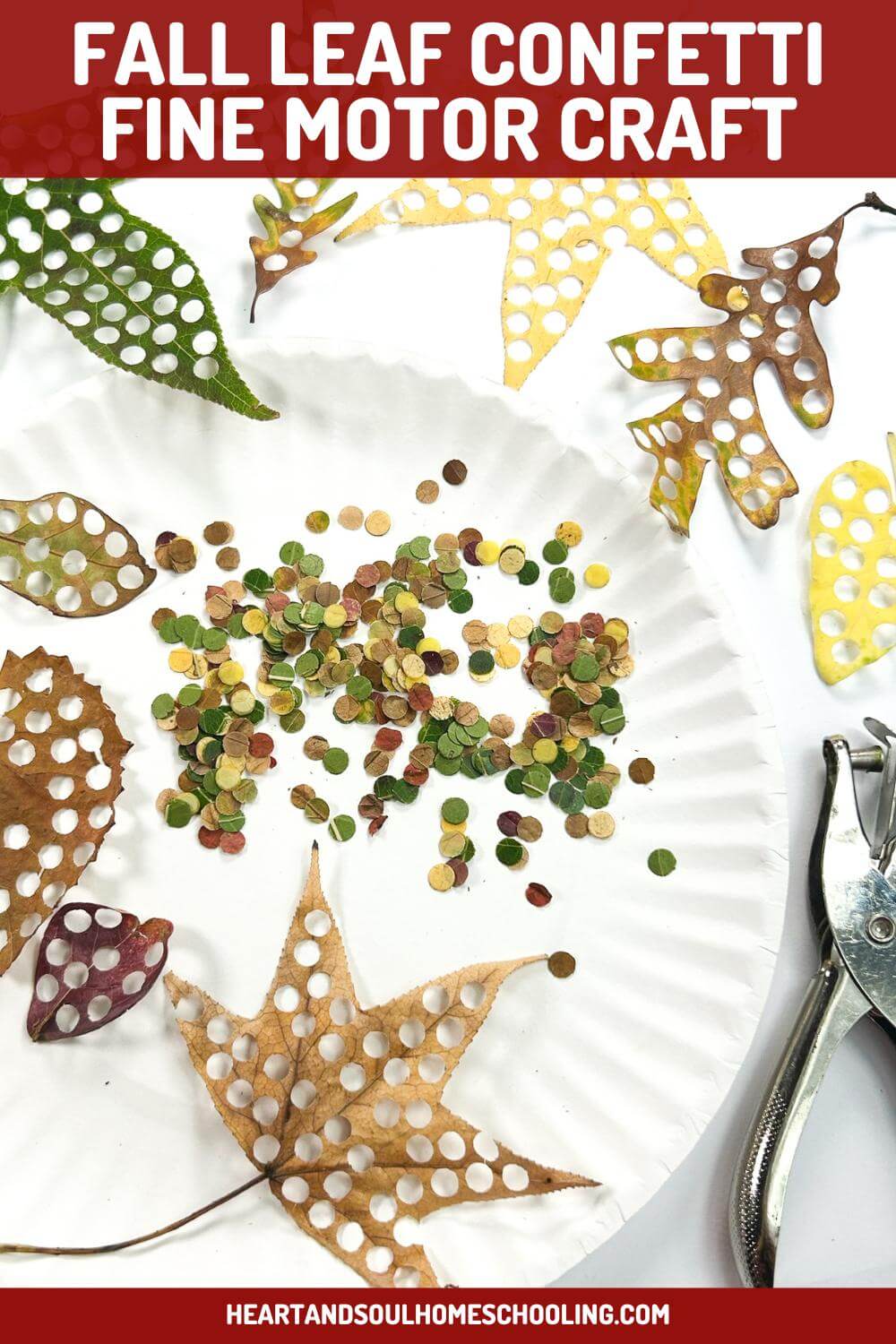 Fall Leaf Confetti Craft - Heart and Soul Homeschooling